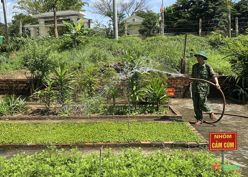 Vườn thuốc nam kiểu mẫu ở Đồn Biên phòng Cửa khẩu Quốc tế Lệ Thanh