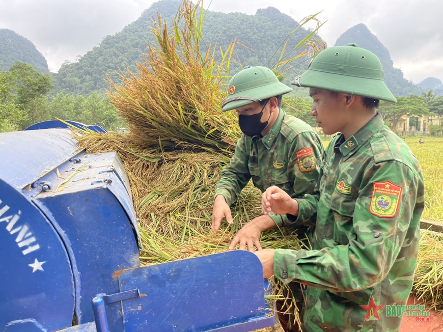 Đồn Biên phòng Cà Xèng giúp đồng bào Rục thu hoạch lúa