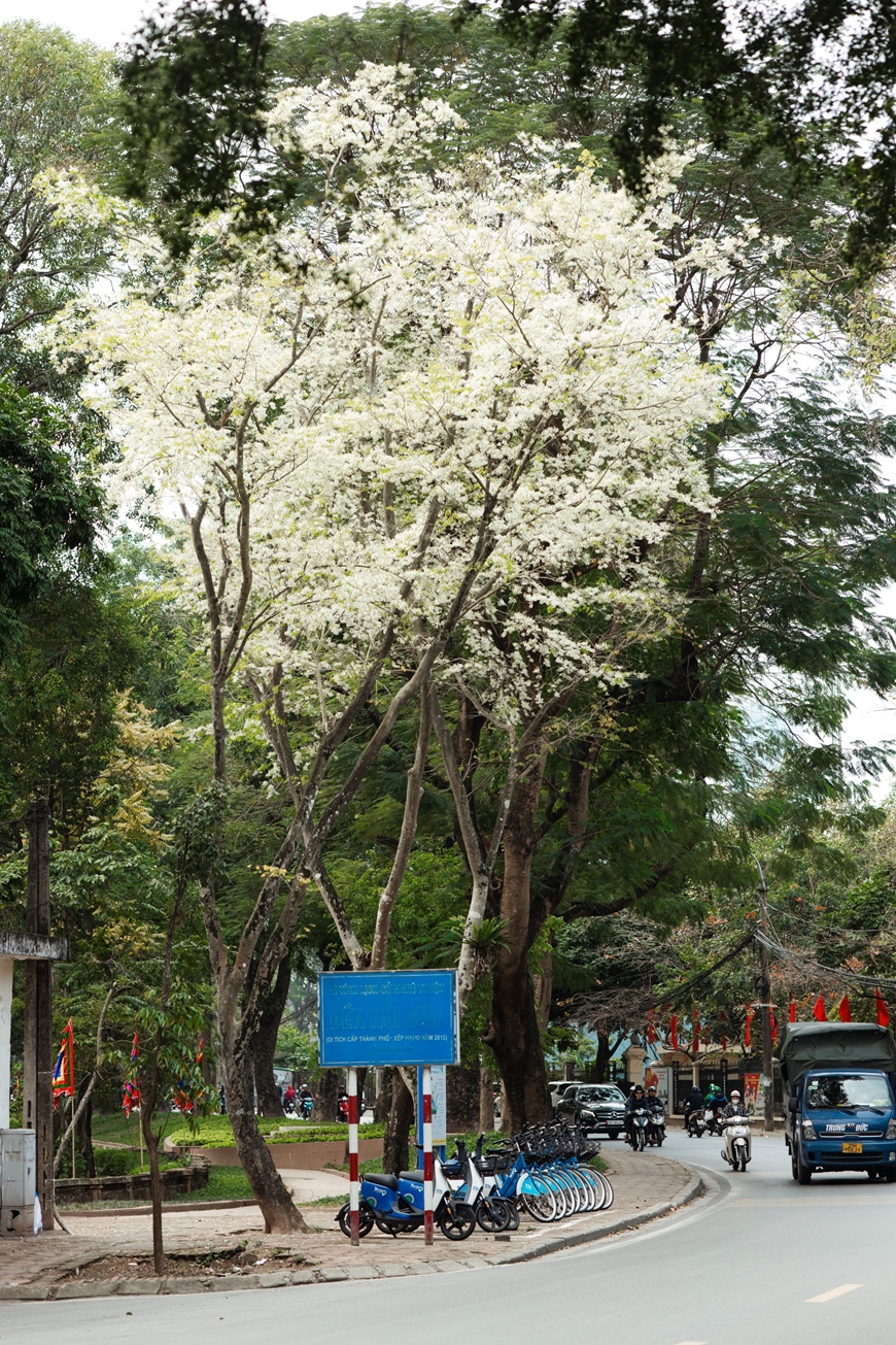 mùa hoa Hà Nội