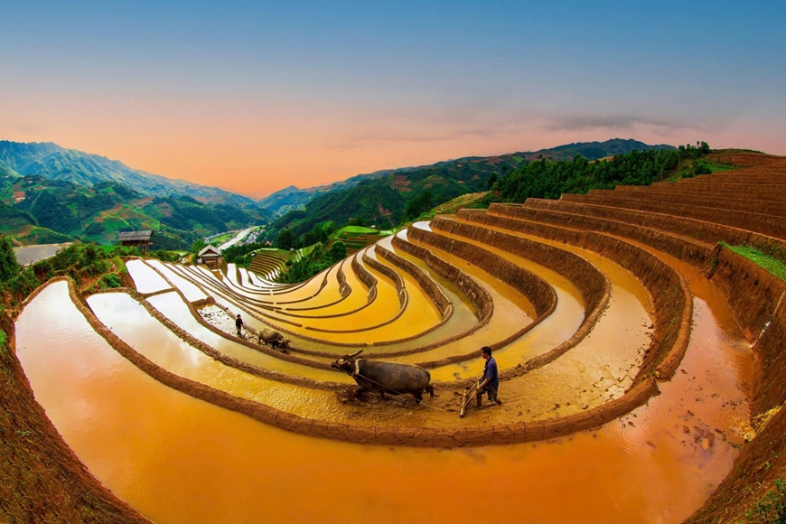 Sắc nước trên ruộng bậc thang