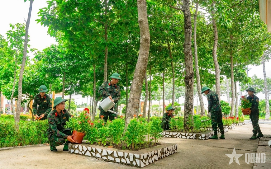 Nơi chim trời tìm về làm tổ