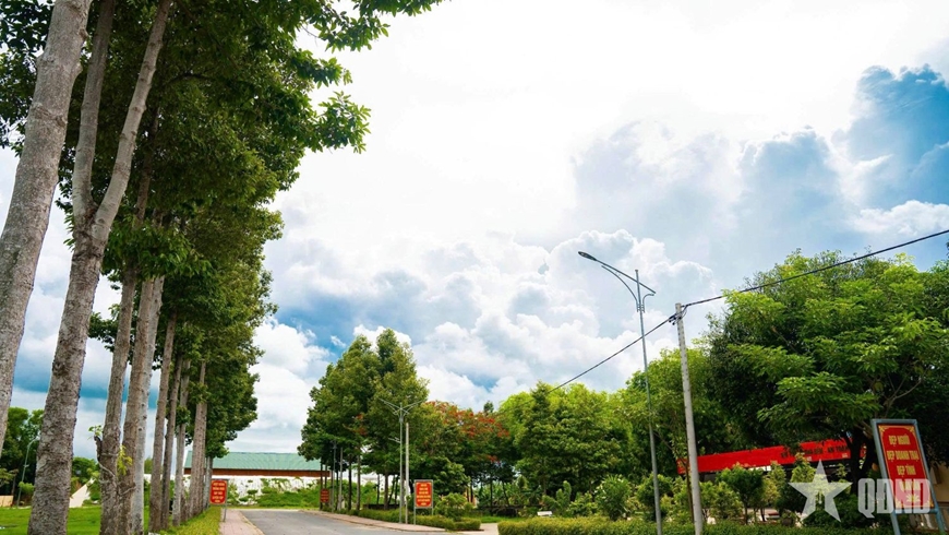 Nơi chim trời tìm về làm tổ