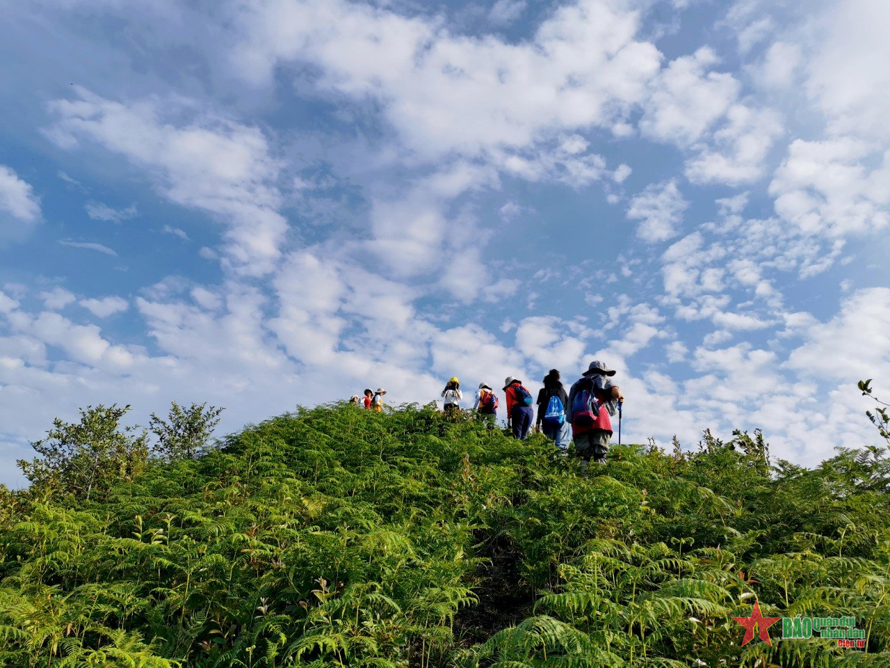 Dạo bước trên những đám mây