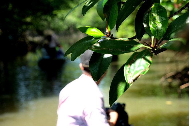 Vam Sat ecological site