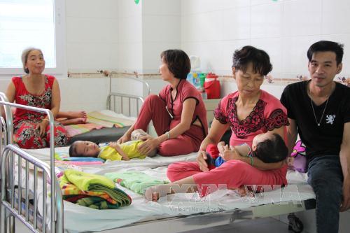 Dengue fever on the rise in Mekong Delta