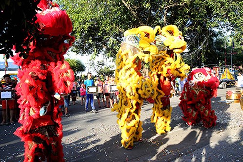Lion dance - a cultural feature of traditional Tet