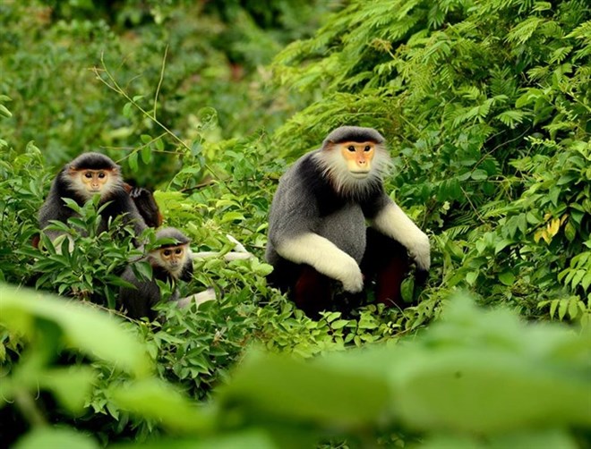Photo contest on environment launched