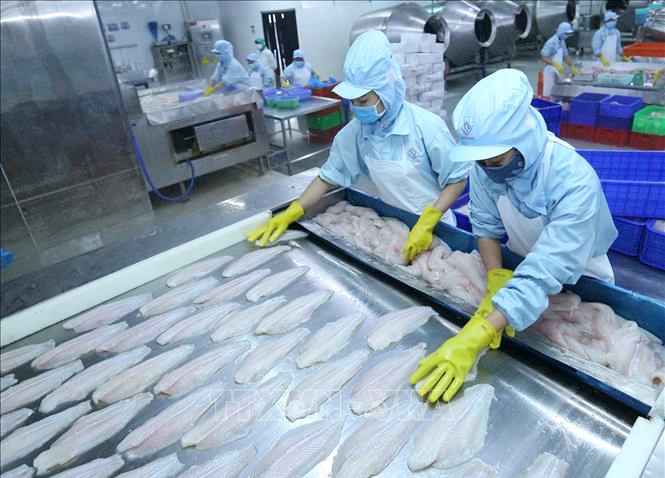 Vietnam’s tra fish exports exceed 2 billion USD for first time