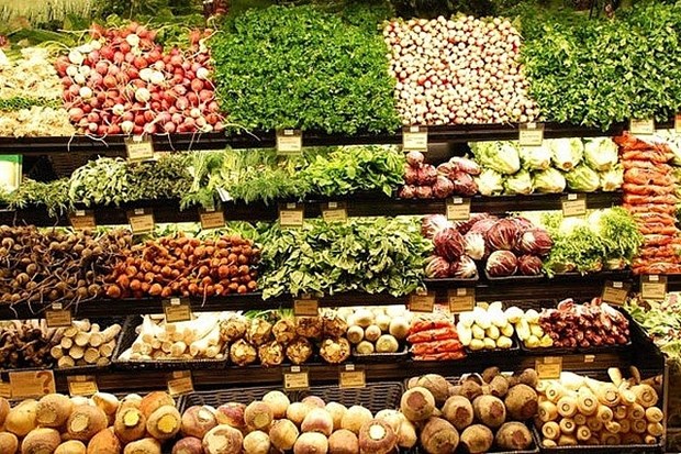 Vietnam develops modern supply system for farm products