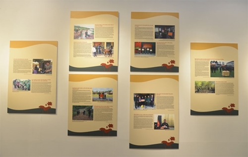 museum exhibit design examples