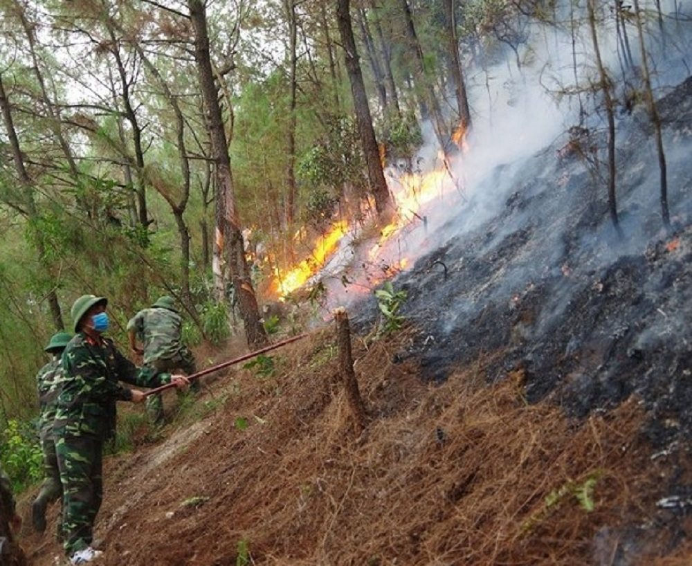 Troops extinguish forest fire in An Giang