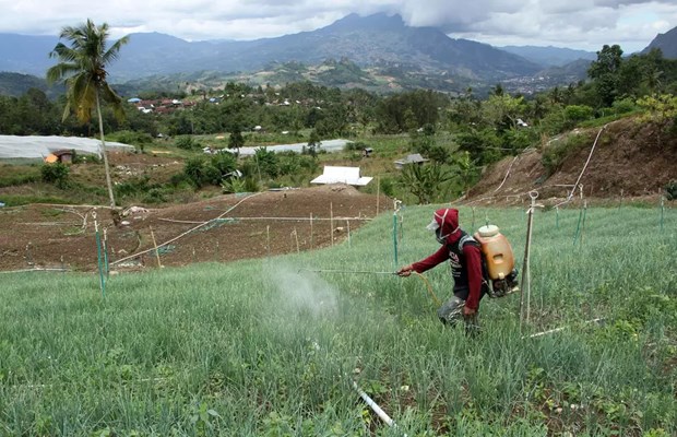 ASEAN to launch regional village network documents