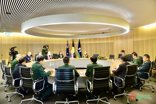 Chief of General Staff Nguyen Tan Cuong pays courtesy call on ...