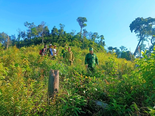 Outstanding example in forest management and protection in A Vao commune