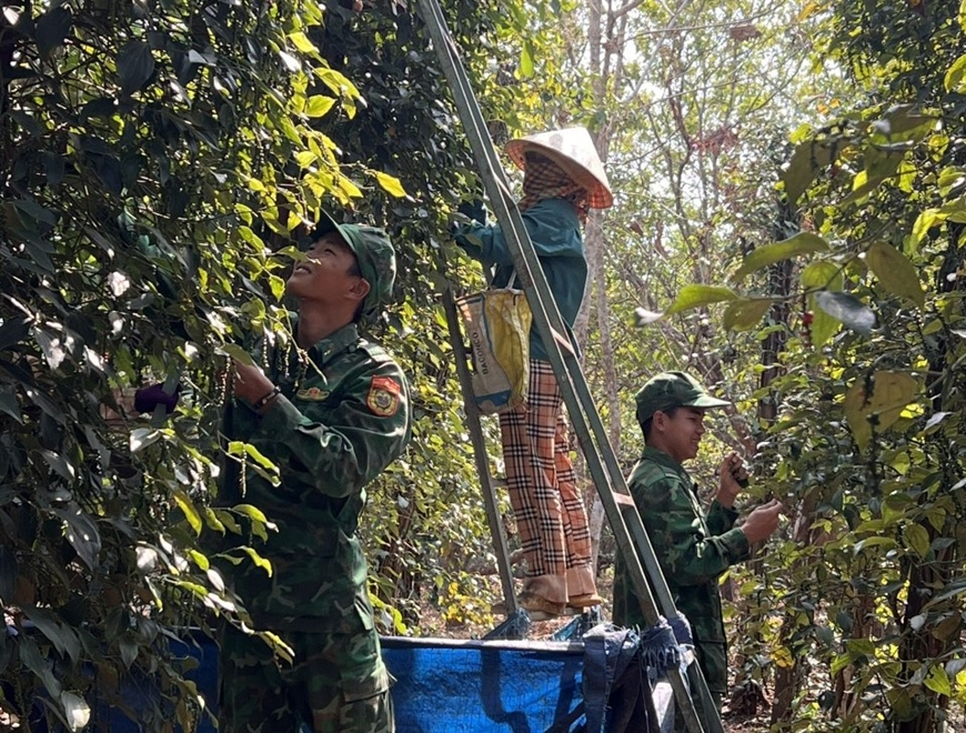 Practical activities implemented to help border people