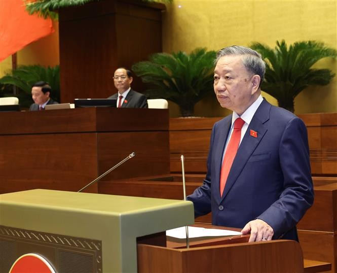 Biography of State President To Lam