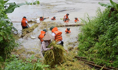 Ha Giang armed forces support local people to overcome natural disaster