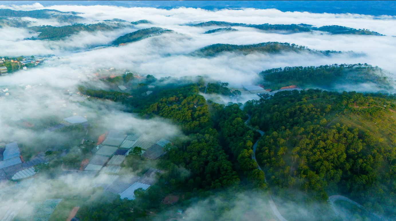 “Cloud hunting” in Da Lat