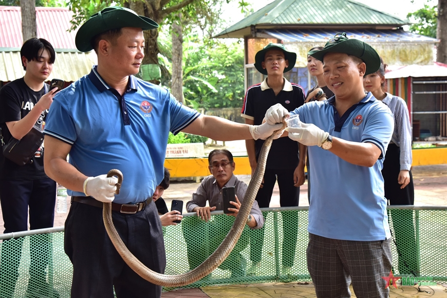 Exploring “snake kingdom” in Mekong Delta