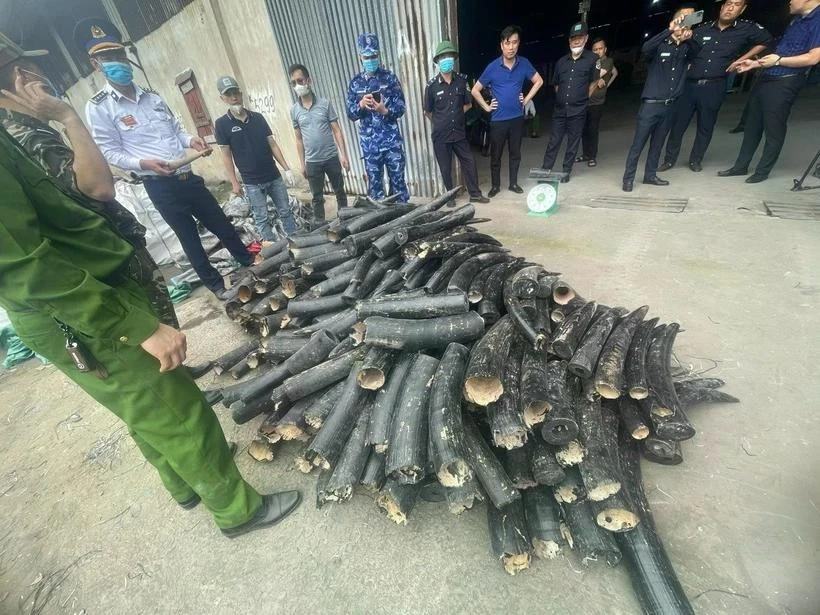 Media campaign launched to combat illegal ivory trade among tourists