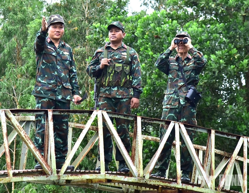Arduous task of forest guardians in Military Region 9
