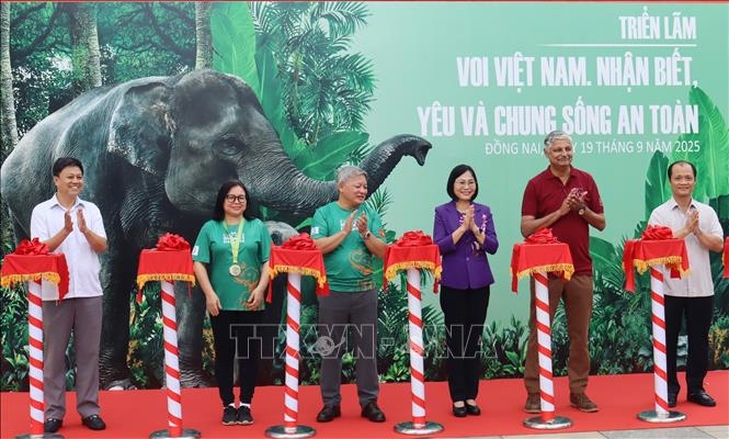 Elephant Conservation Week 2025 launched in Southern Dong Nai province