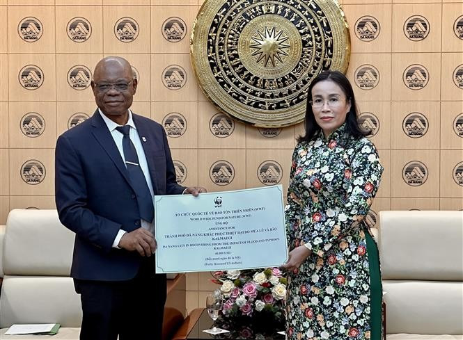 WWF provides 40,000 USD to help Da Nang recover from natural disasters