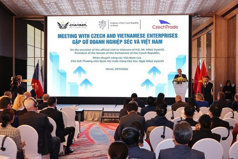 Czech Senate President highlights deep-rooted ties, urges stronger ...