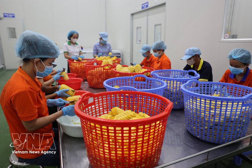 Vietnam’s food sector urged to move up global value chains