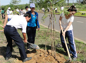 One million new trees to give HCM City a fresh look