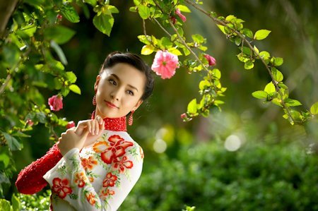 Pure beauty of Vietnamese stars in traditional dress