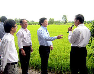 Conference reviews production of certified rice seeds