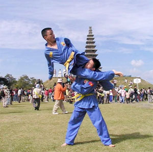 Vietnamese traditional martial art joins WoMAU